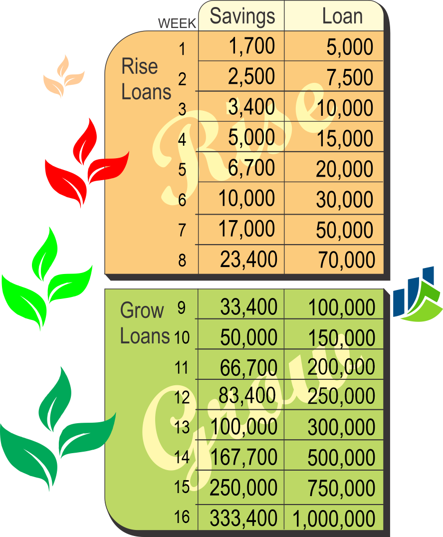 Loan Application Form | Rg Sacco Ltd.